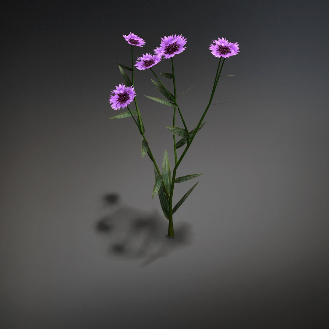3ds Max Flowers 16 Low-poly Icons