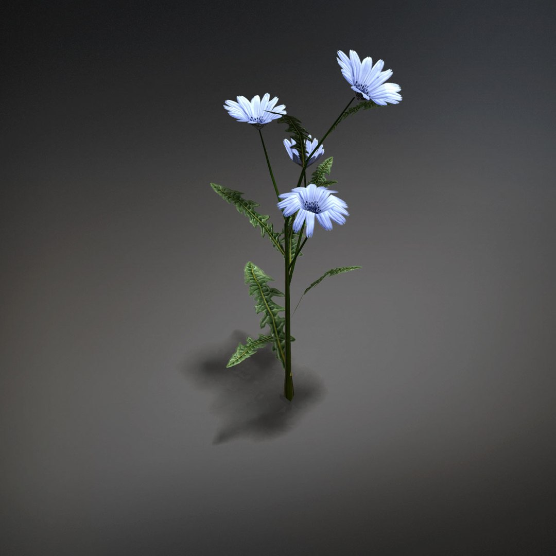 3ds Max Flowers 16 Low-poly Icons