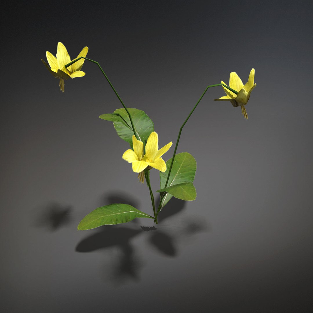 3ds Max Flowers 16 Low-poly Icons