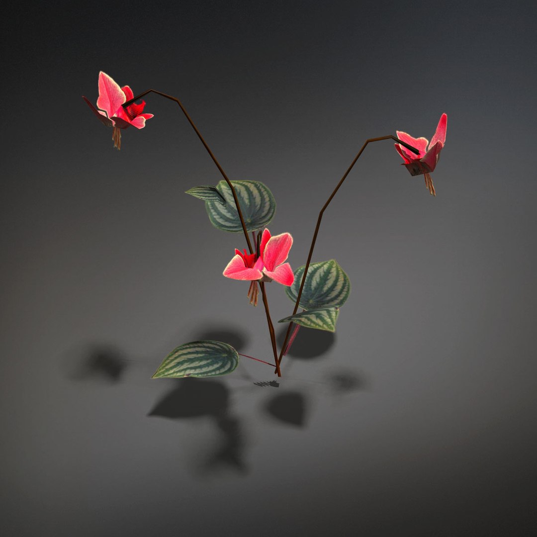 3ds Max Flowers 16 Low-poly Icons