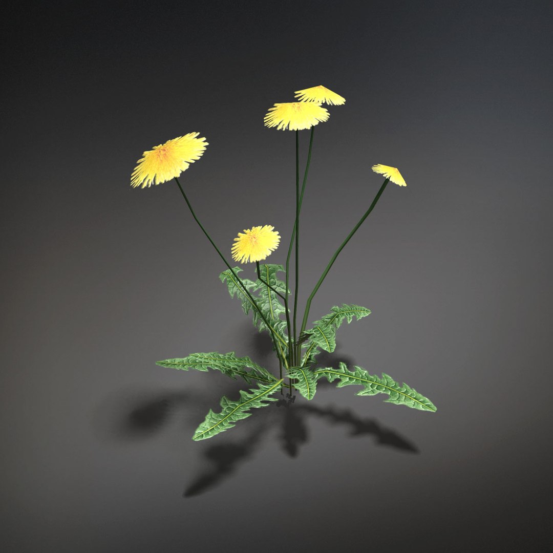 3ds Max Flowers 16 Low-poly Icons