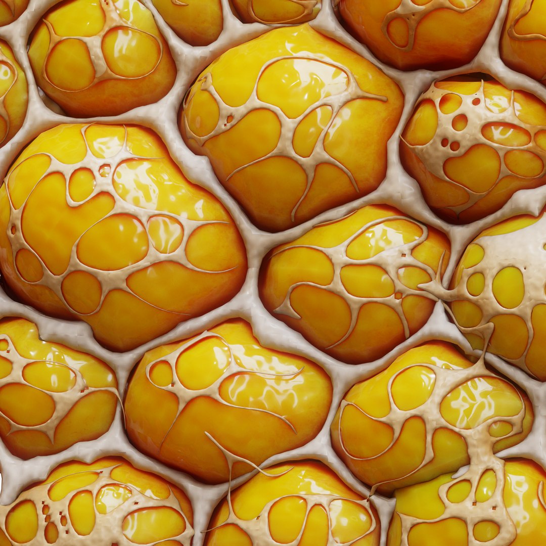 3D Fat Cell Model - TurboSquid 1814021