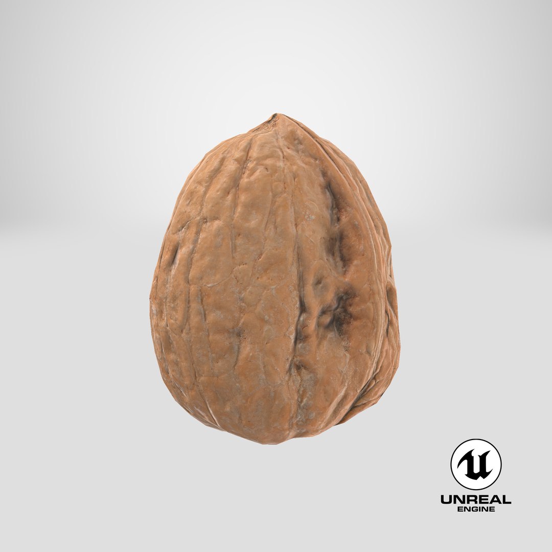 3D Walnut Shell 02 - TurboSquid 1969947