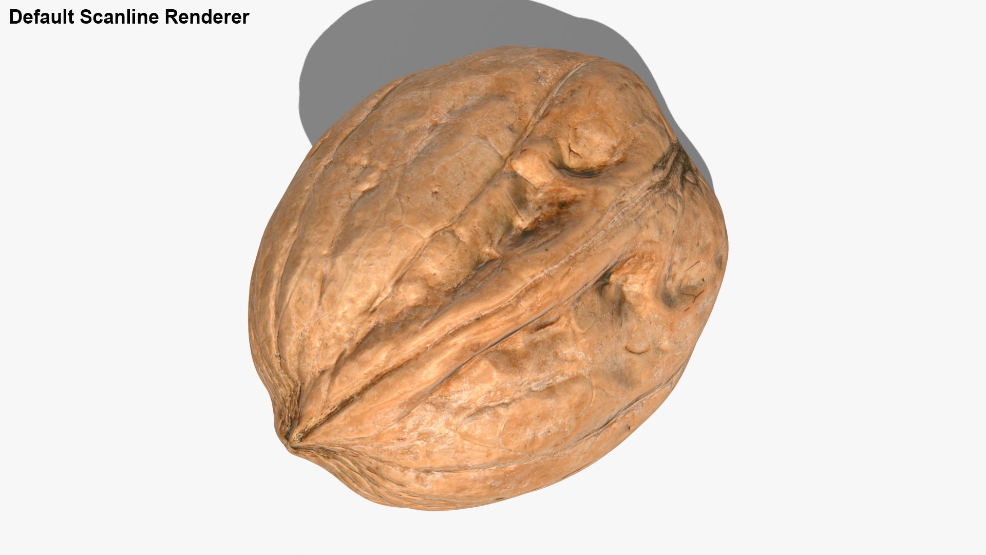 3D Walnut Shell 02 - TurboSquid 1969947