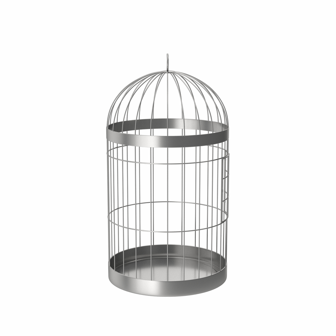 Bird Cage 3D Model - TurboSquid 2132582