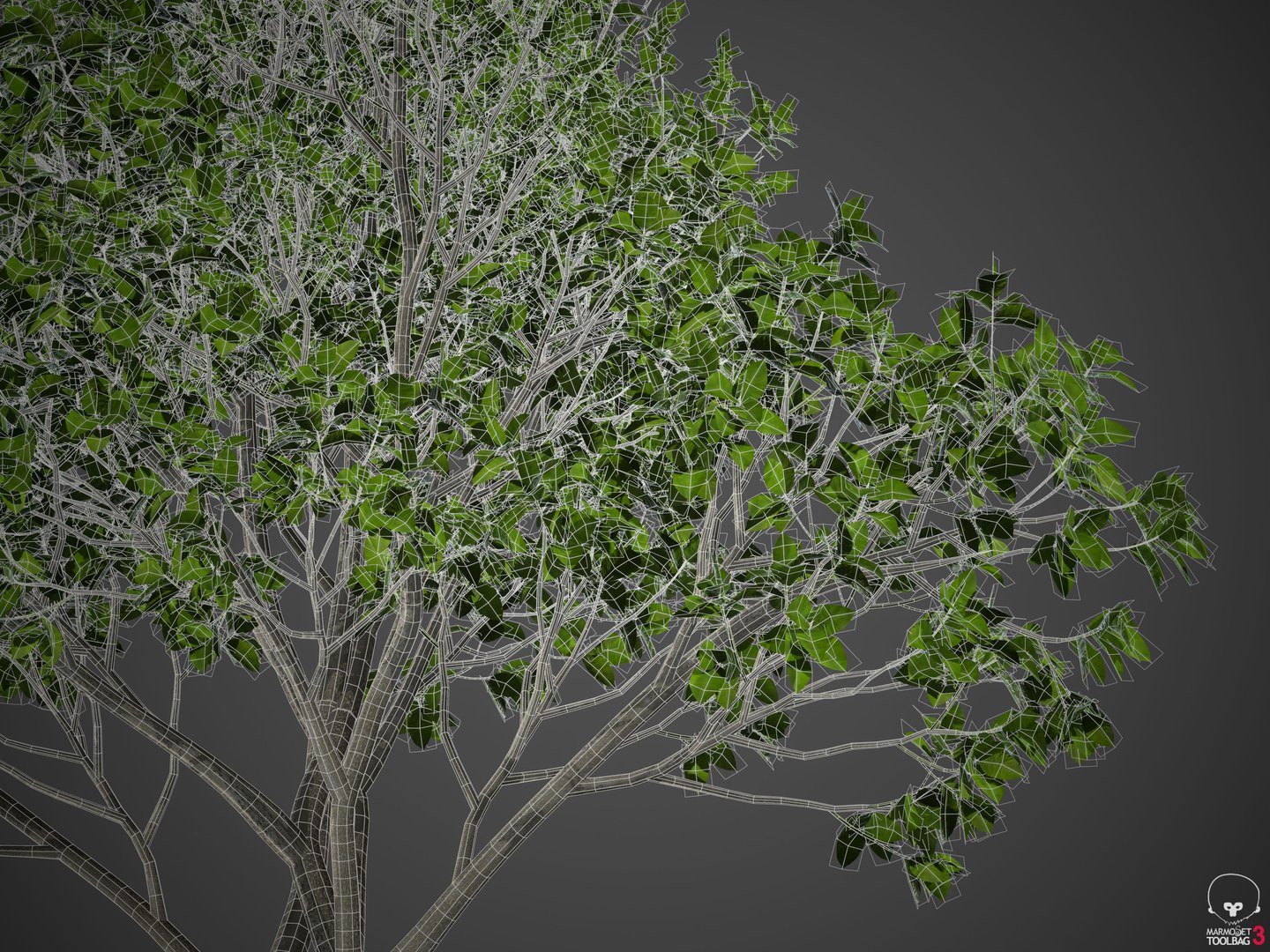 Free Tree Nature 3D Model - TurboSquid 1678366