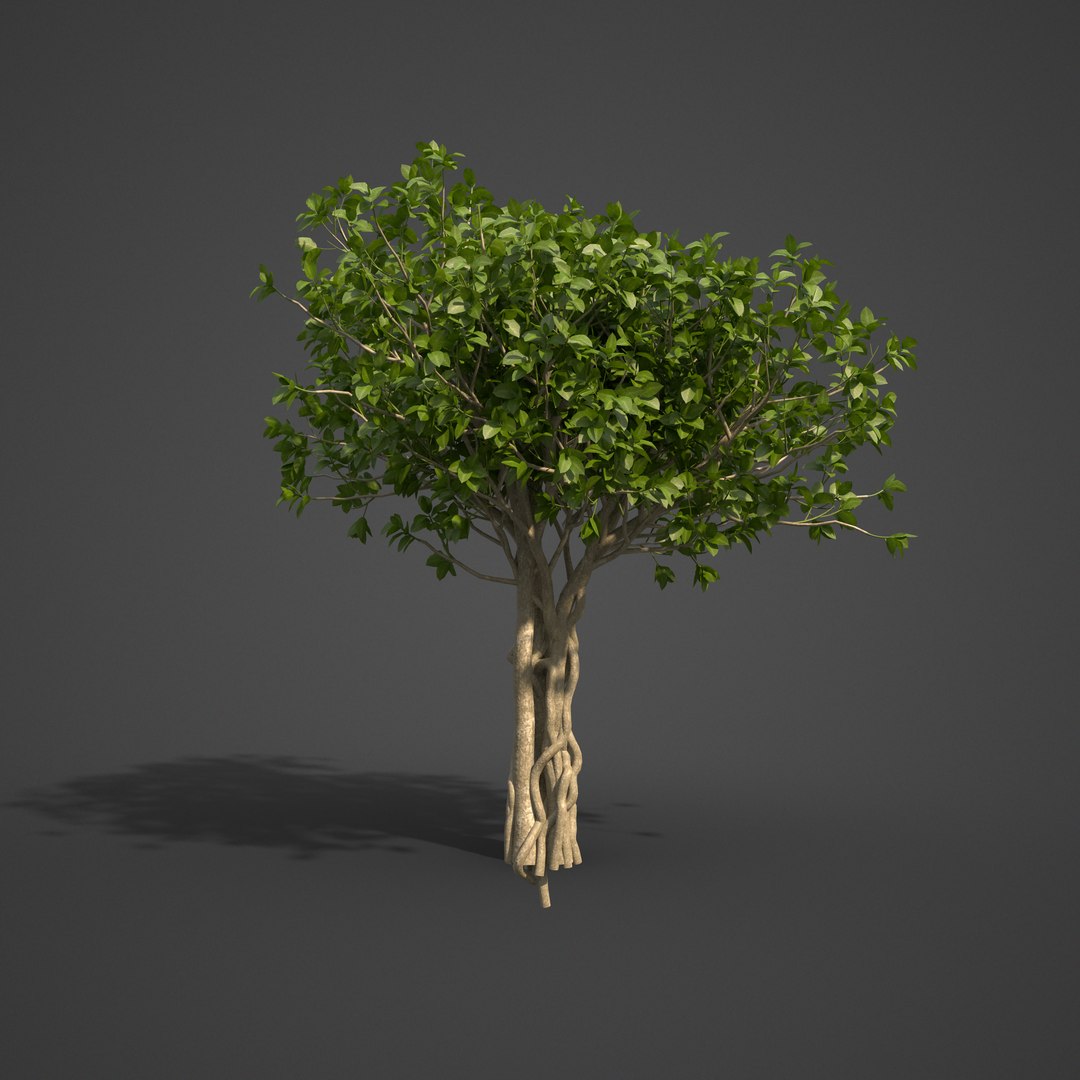 Free Tree Nature 3D Model - TurboSquid 1678366