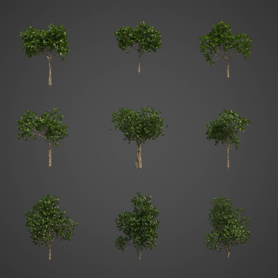 Free tree nature 3D model - TurboSquid 1678366