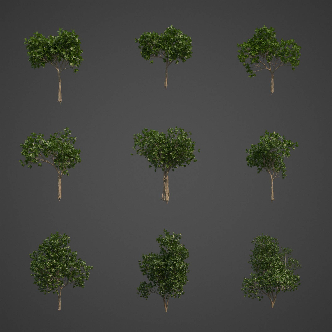 Free Tree Nature 3D Model - TurboSquid 1678366
