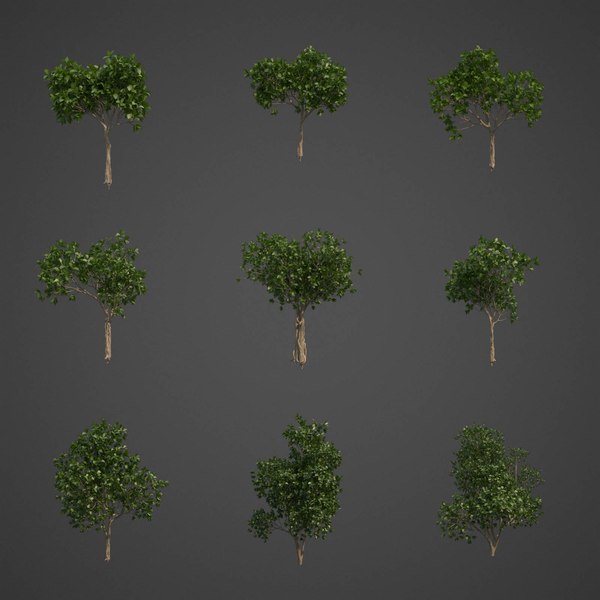 Free tree nature 3D model - TurboSquid 1678366
