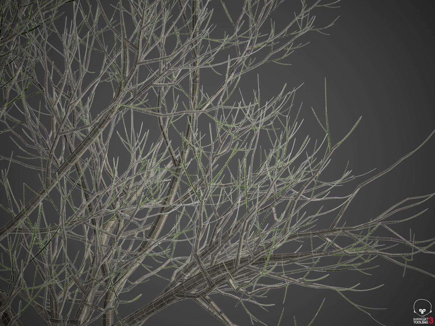Free Tree Nature 3D Model - TurboSquid 1678366
