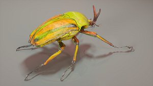 leaf insect walking phylliidae 3d obj