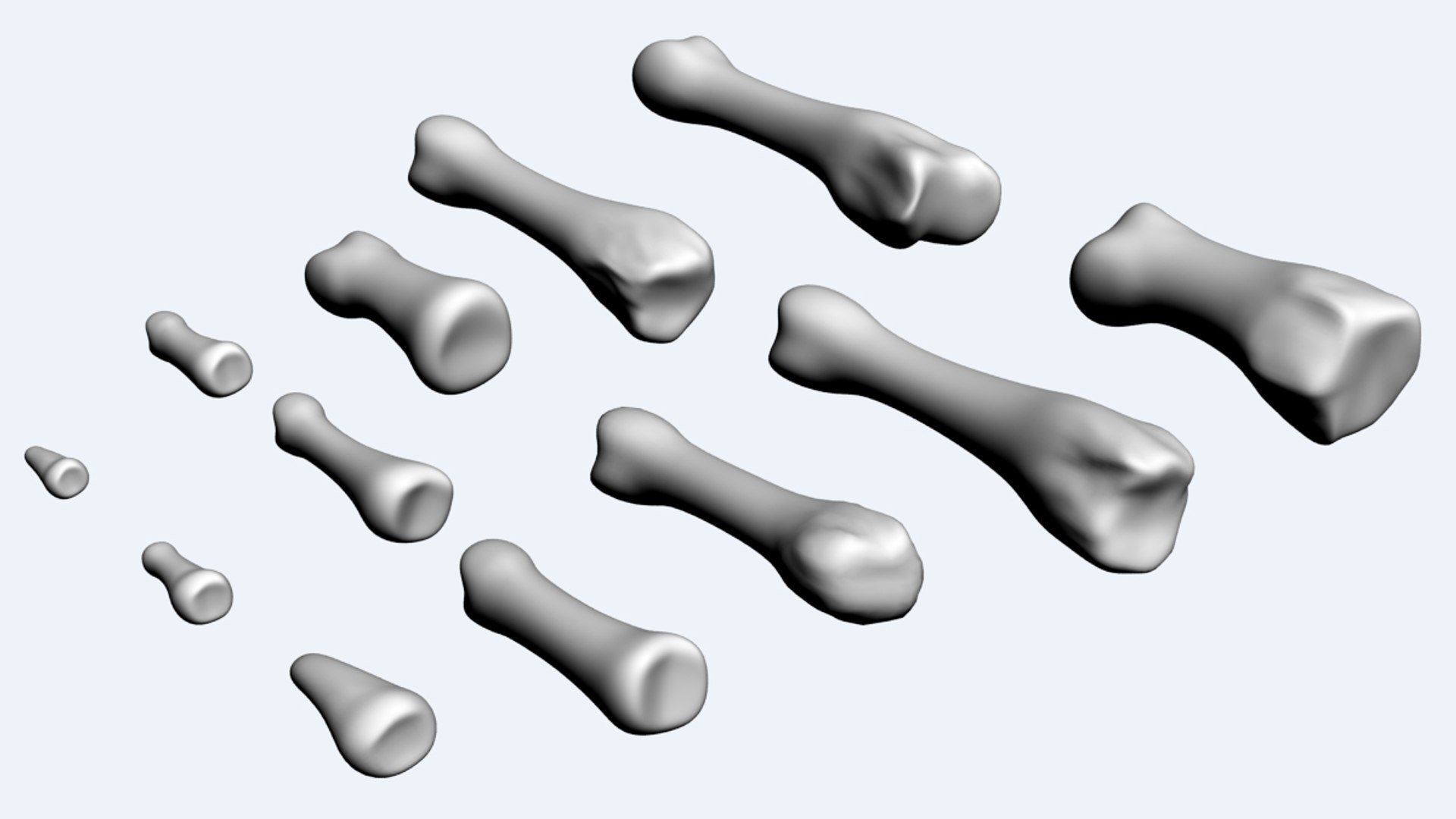 3D Set Simple Bones - TurboSquid 1533576