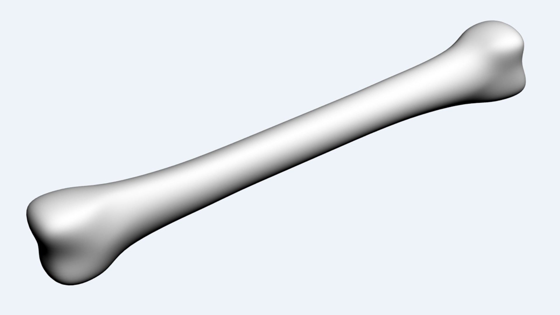 3D Set Simple Bones - TurboSquid 1533576