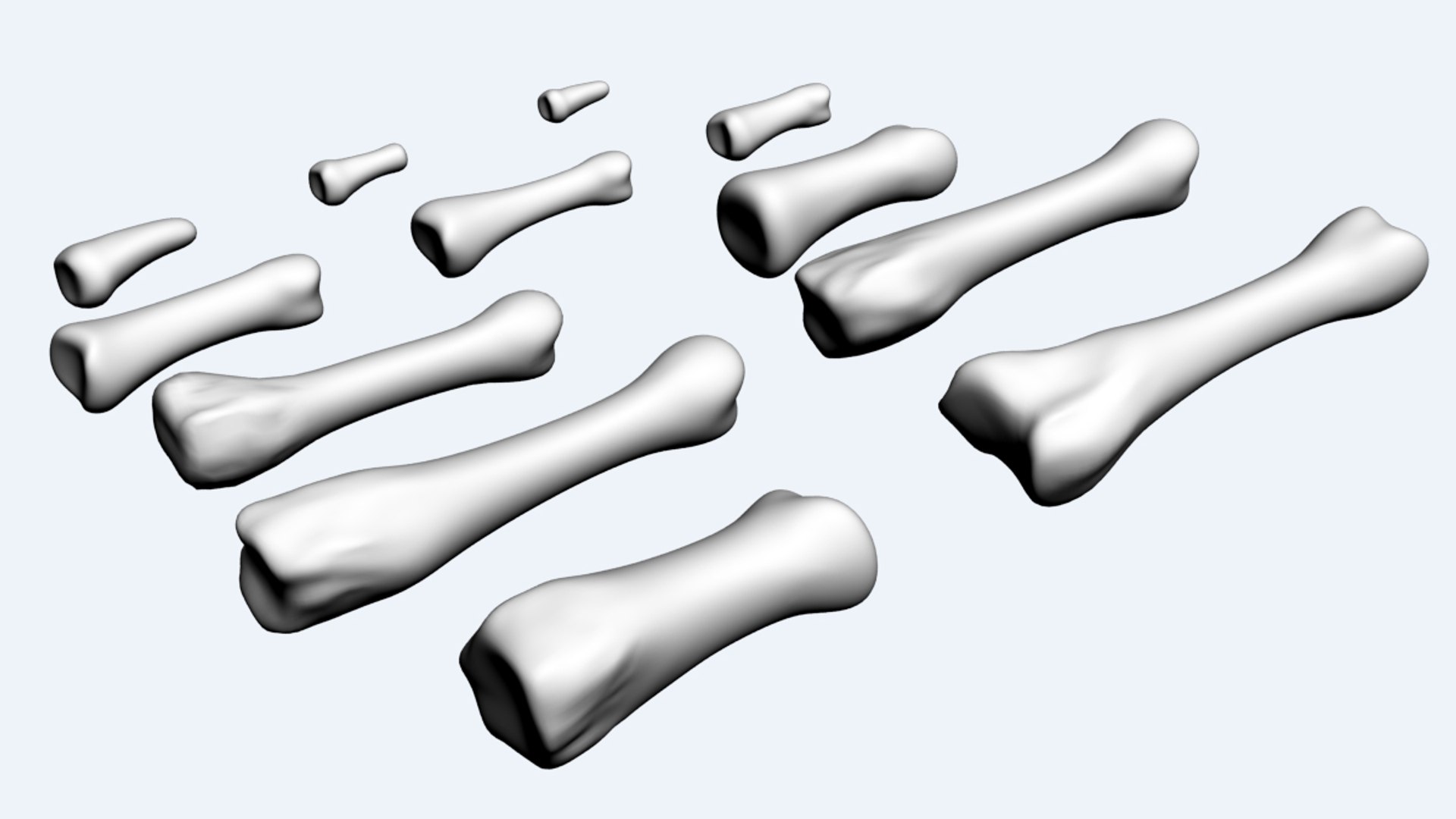 3D Set Simple Bones - TurboSquid 1533576