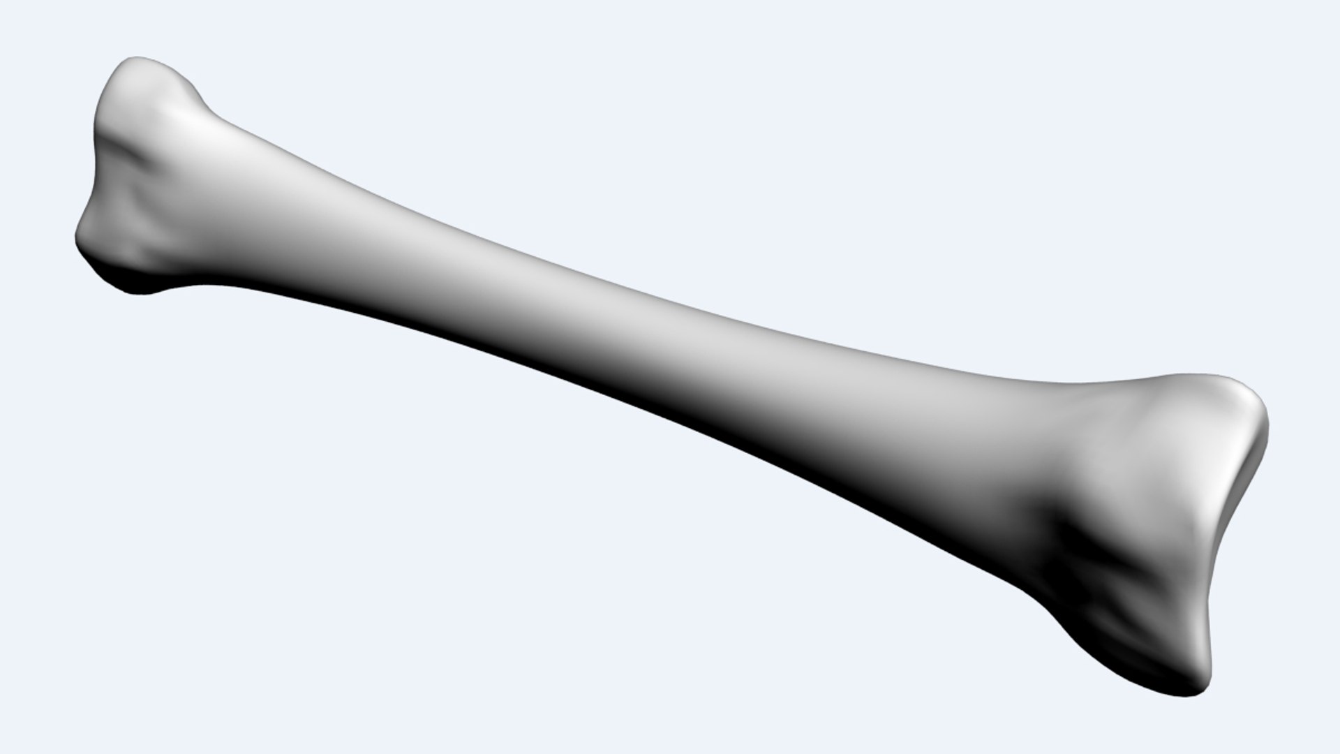 3D Set Simple Bones - TurboSquid 1533576