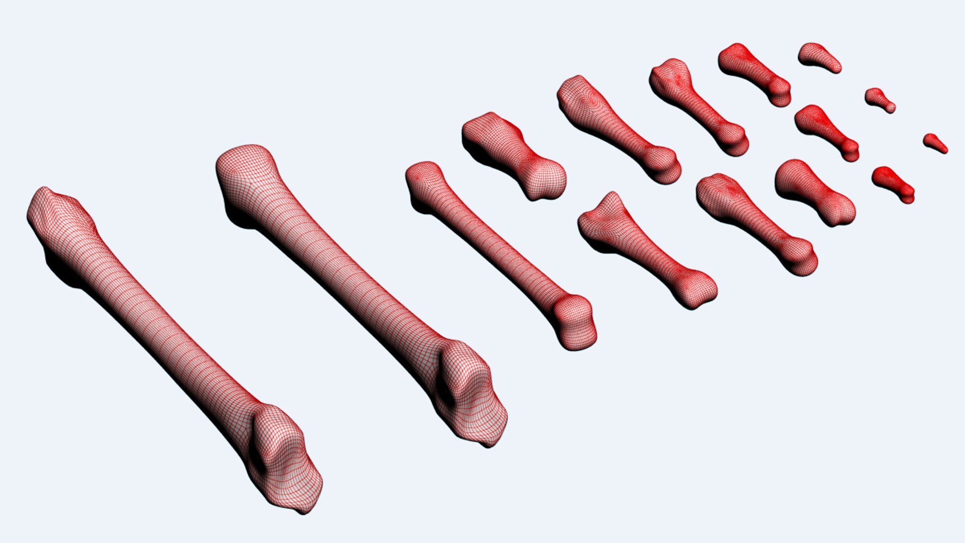 3D Set Simple Bones - TurboSquid 1533576