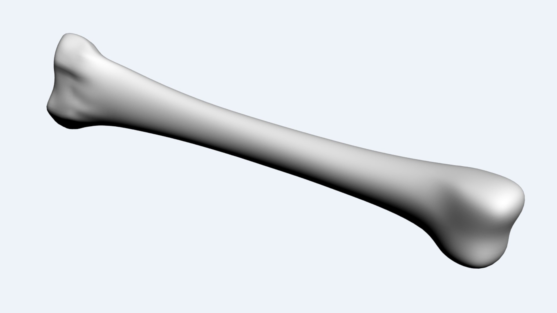 3D Set Simple Bones - TurboSquid 1533576