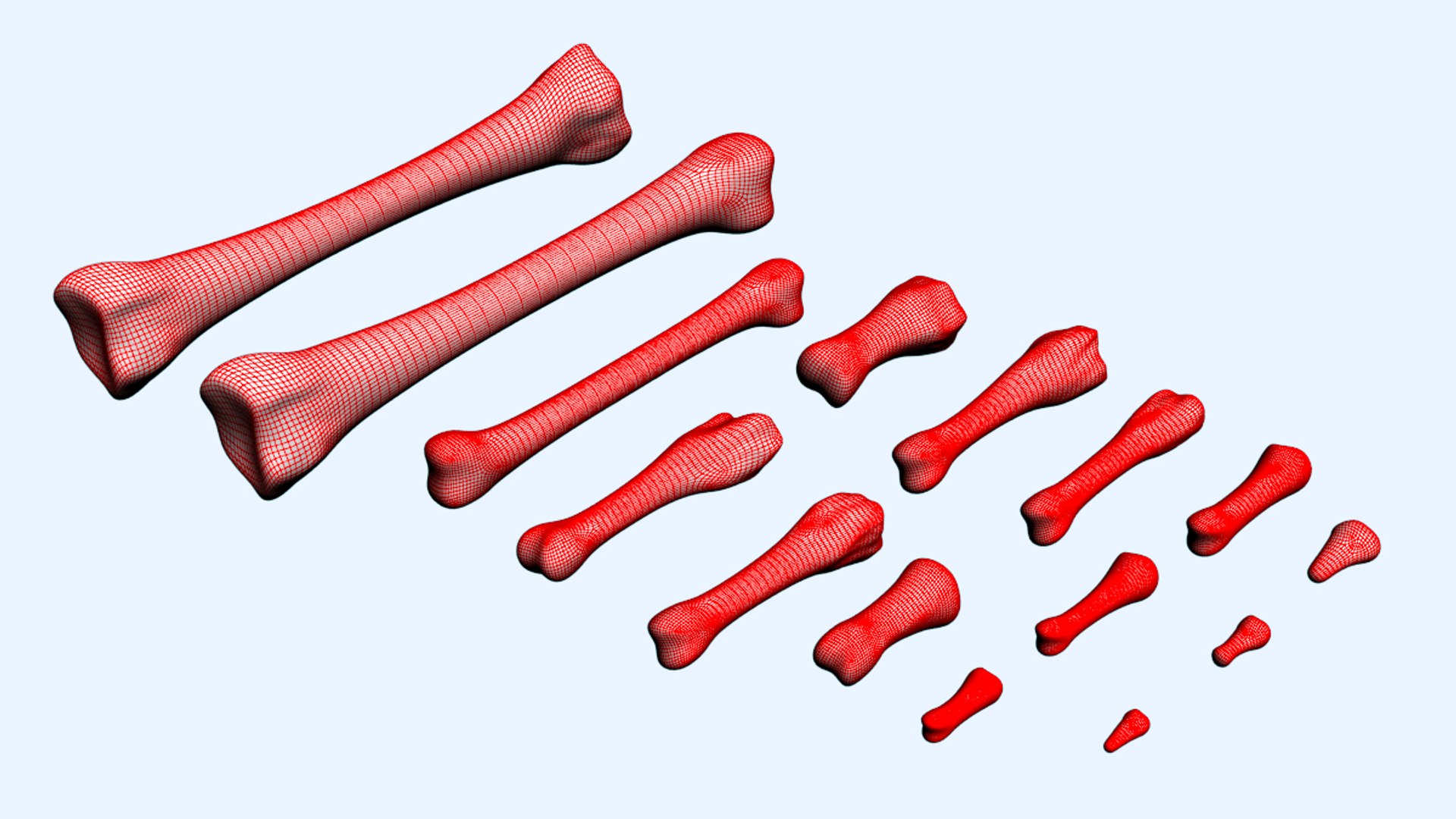 3D Set Simple Bones - TurboSquid 1533576