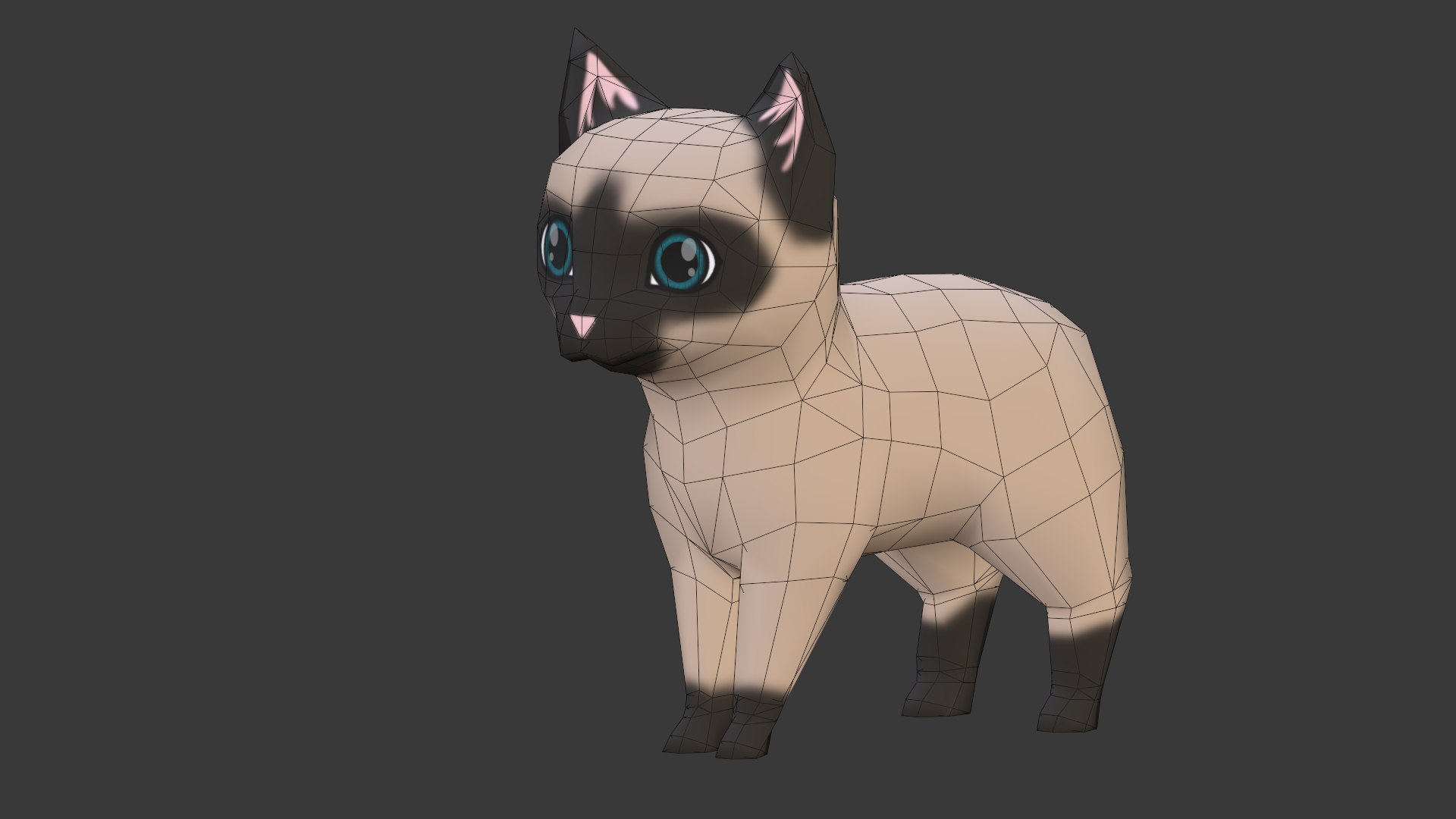 Cat Chibi 3D Model - TurboSquid 1592225