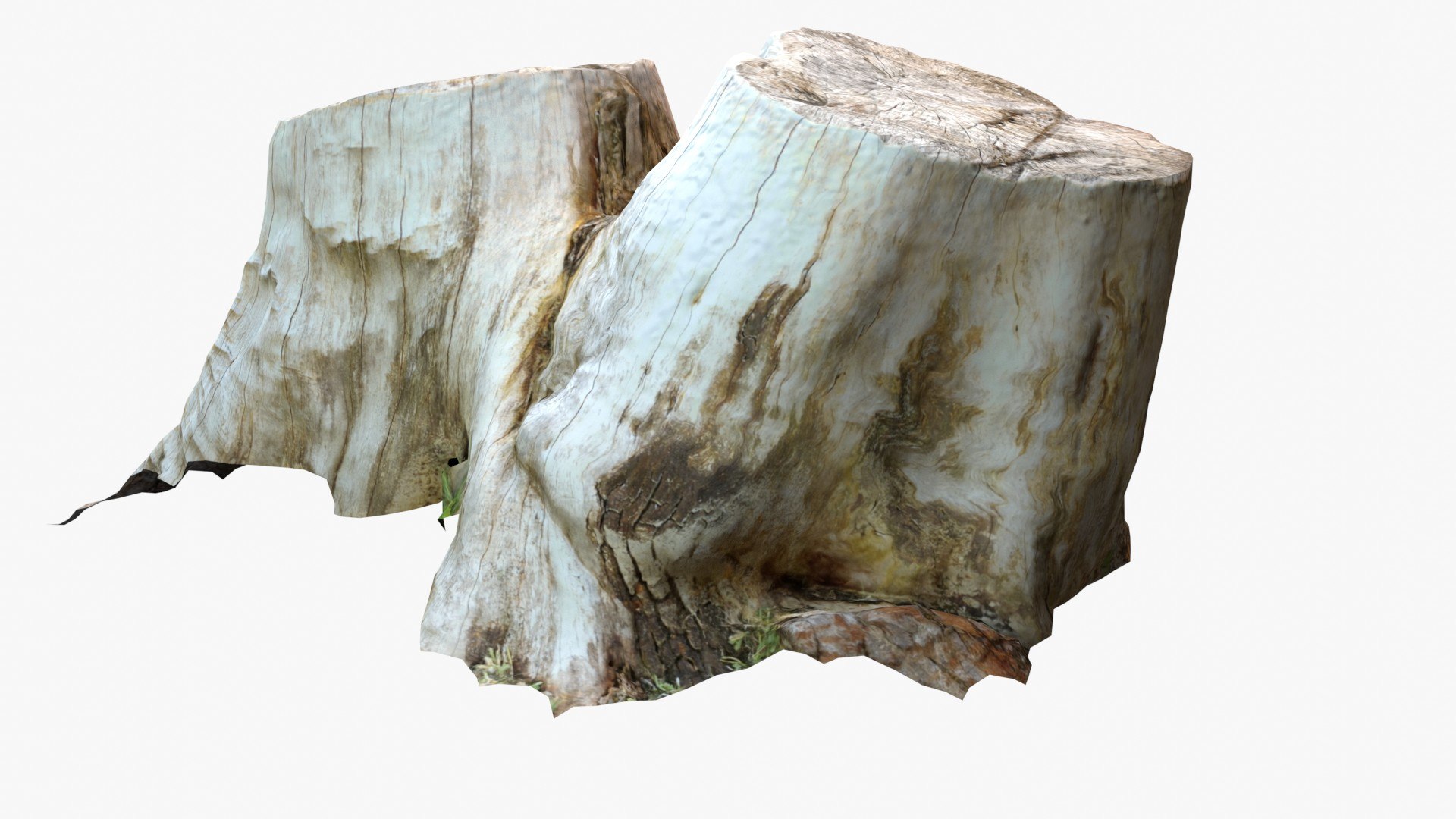 Double Tree Stump Model - TurboSquid 1769382