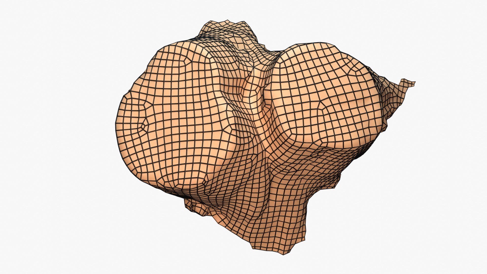 Double Tree Stump Model - TurboSquid 1769382