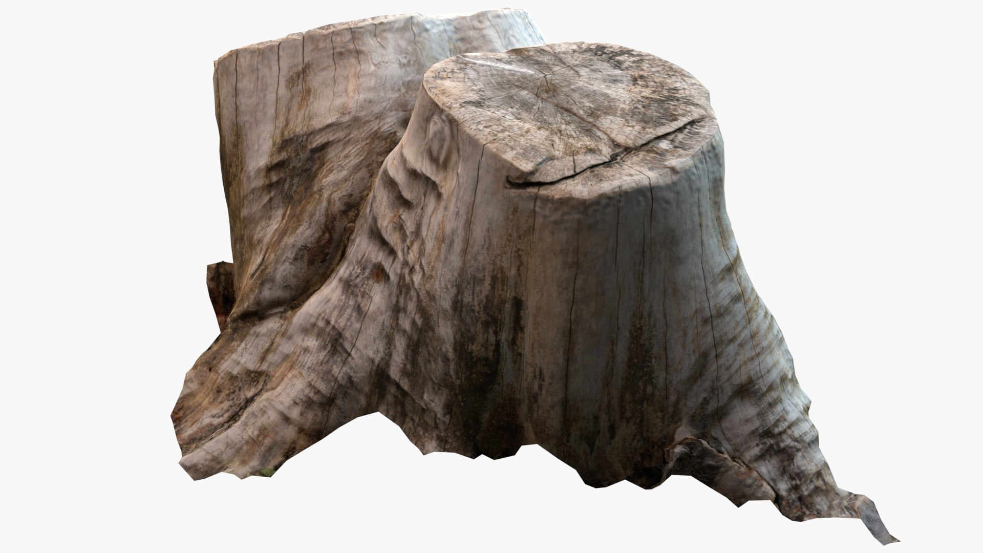 Double Tree Stump Model - TurboSquid 1769382