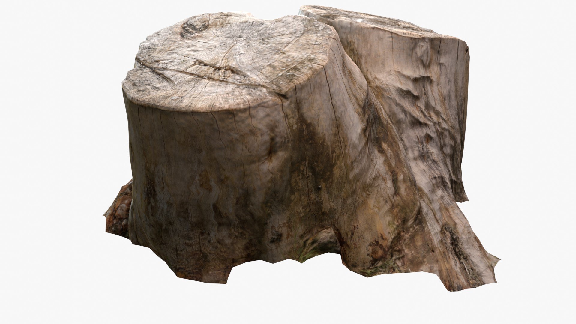 Double Tree Stump Model - TurboSquid 1769382