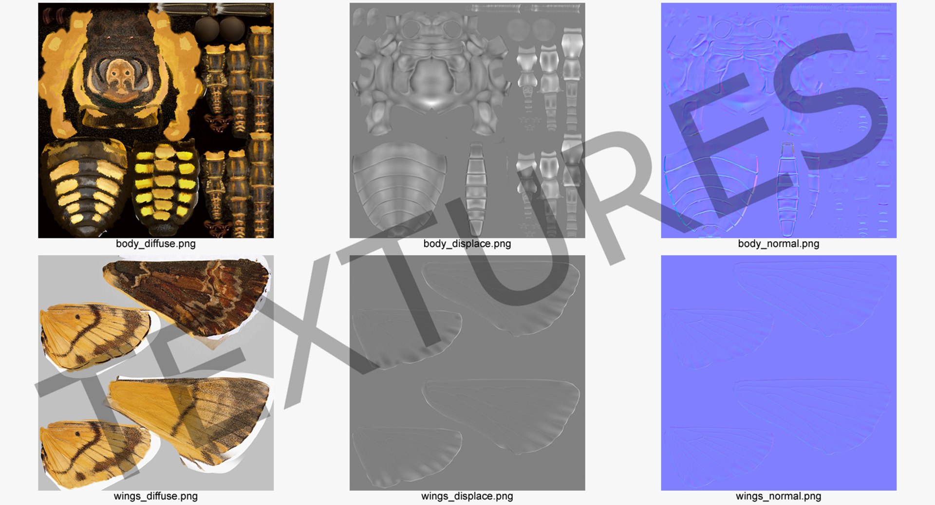 3d model acherontia atropos