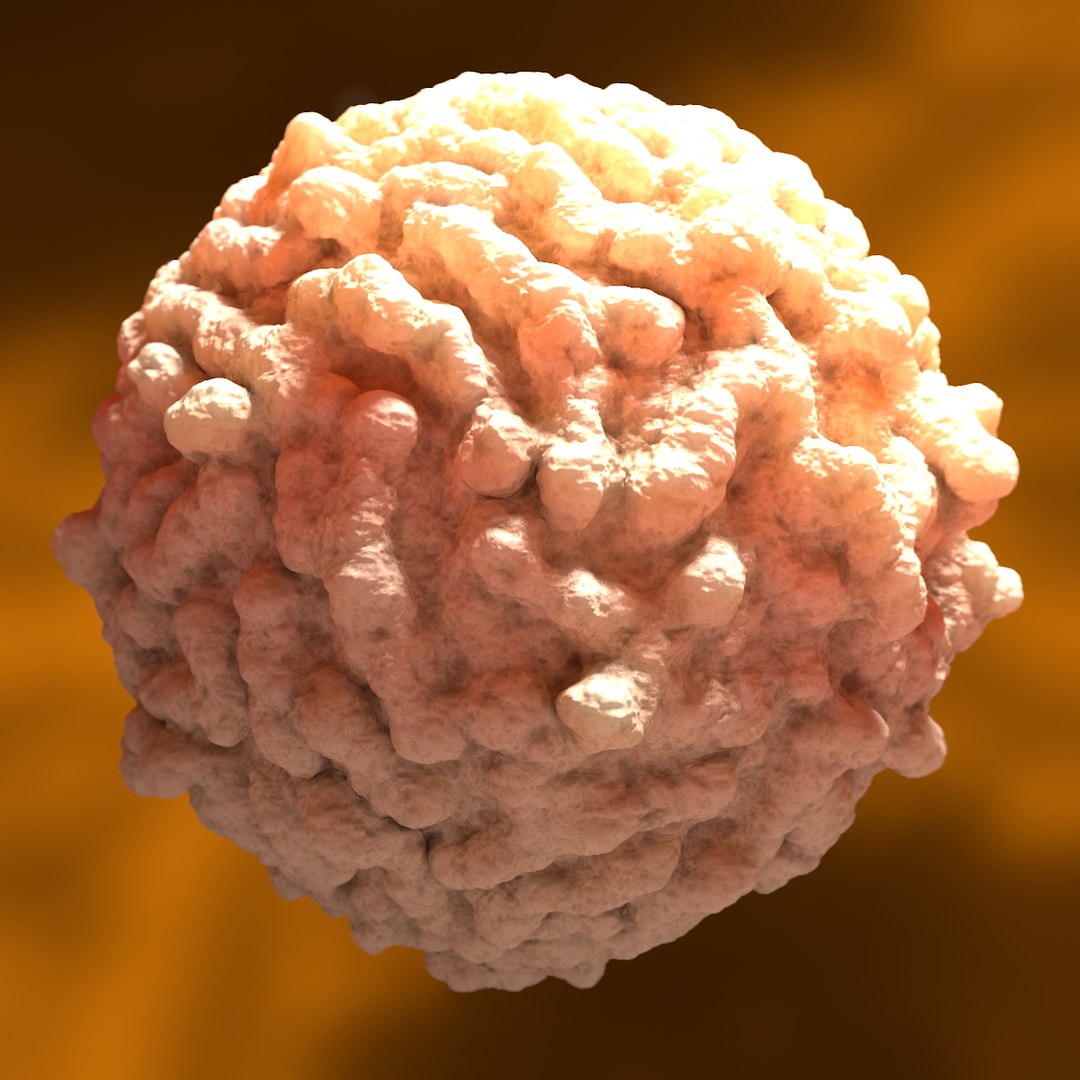 white blood cell red 3d c4d
