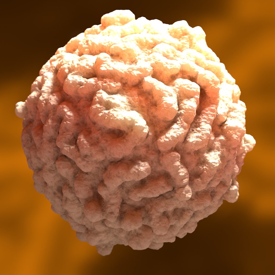 White Blood Cell Red 3d C4d