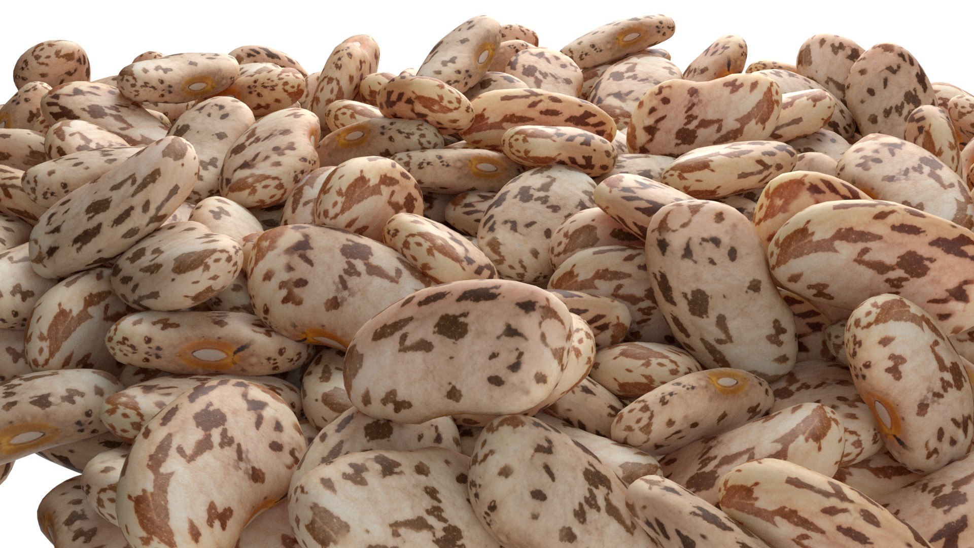 Roman Beans Pile 3D - TurboSquid 2397348
