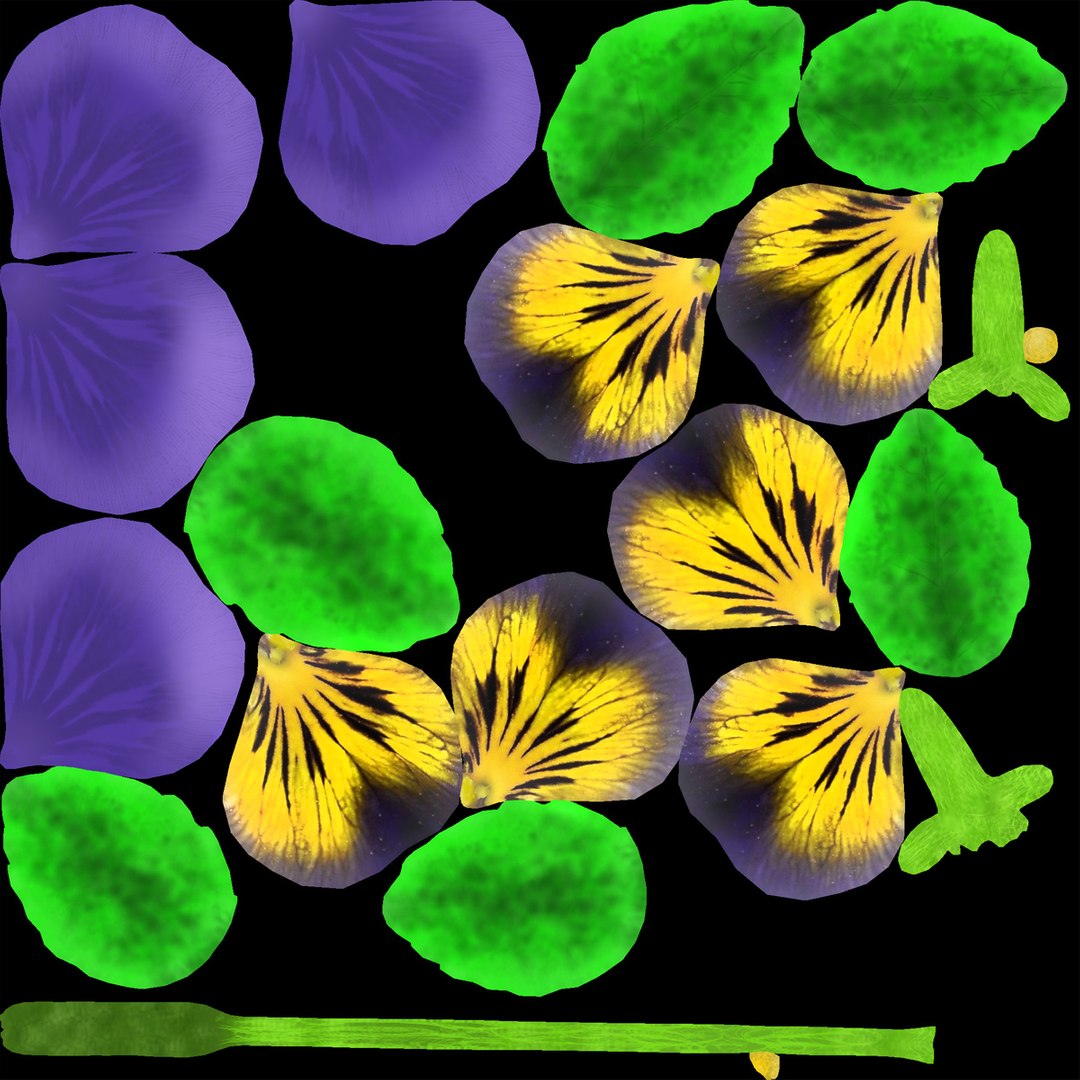 3d Obj Viola Tricolor