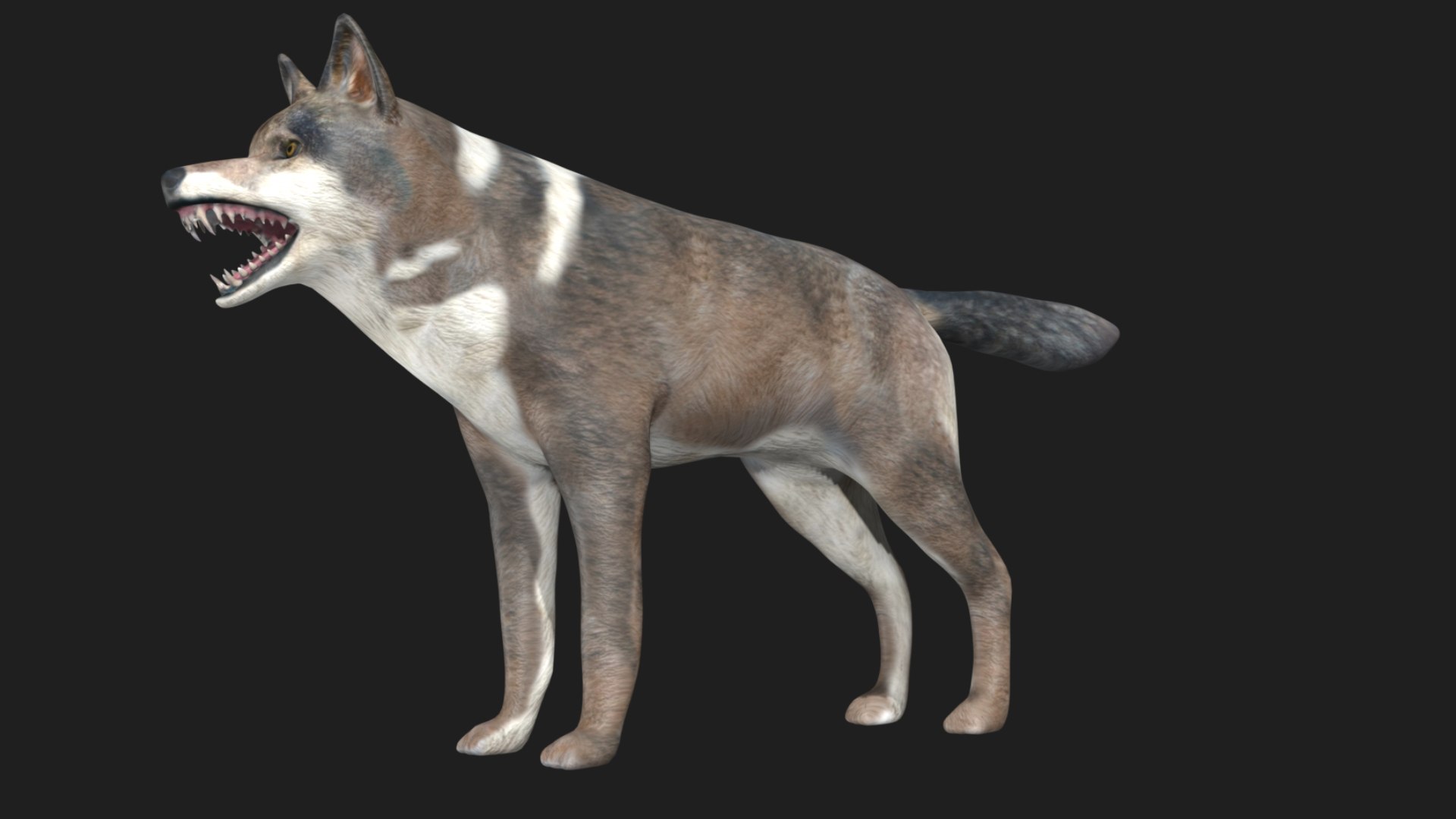 3D Wolf - TurboSquid 1773532