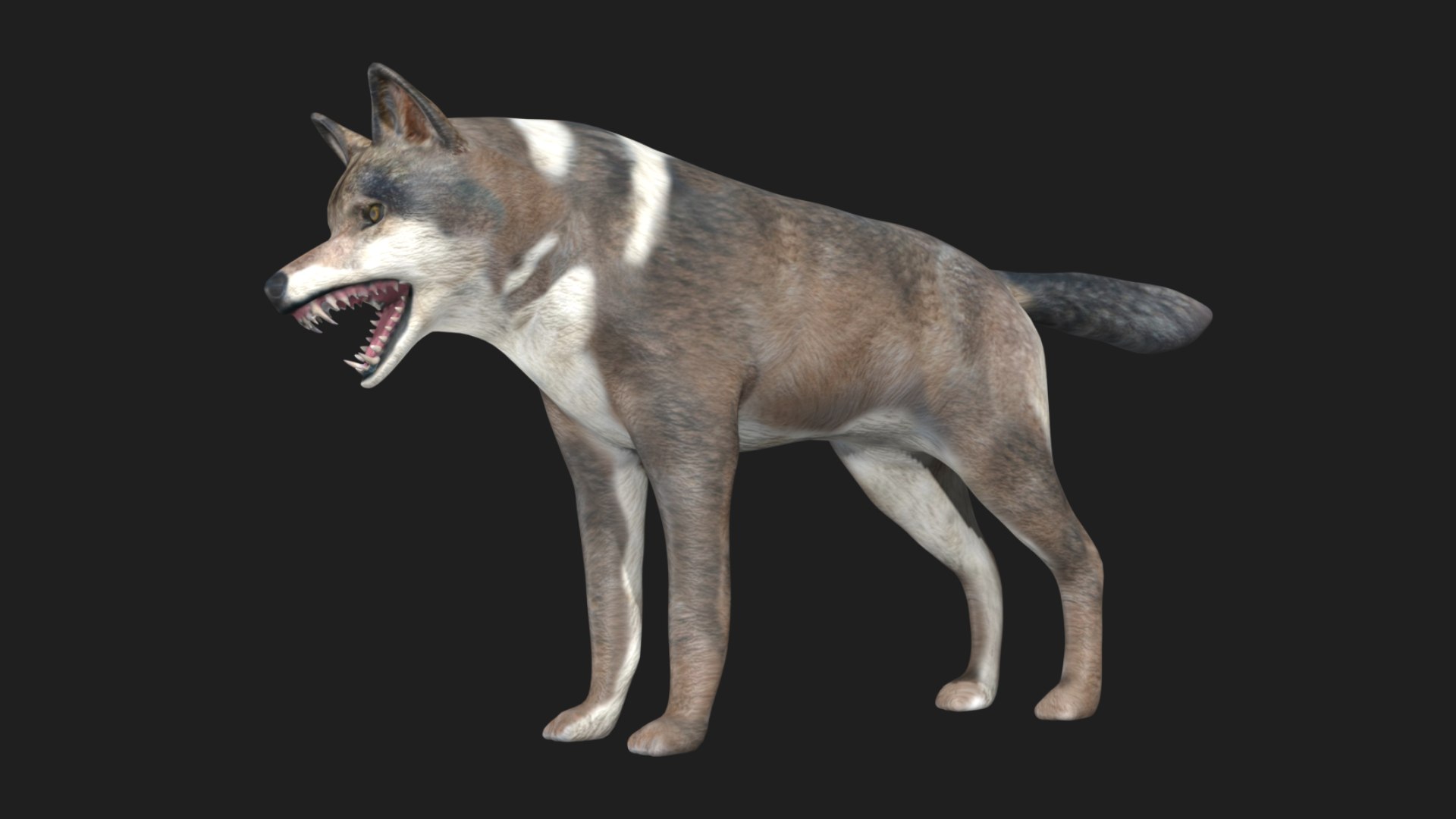 3D Wolf - TurboSquid 1773532