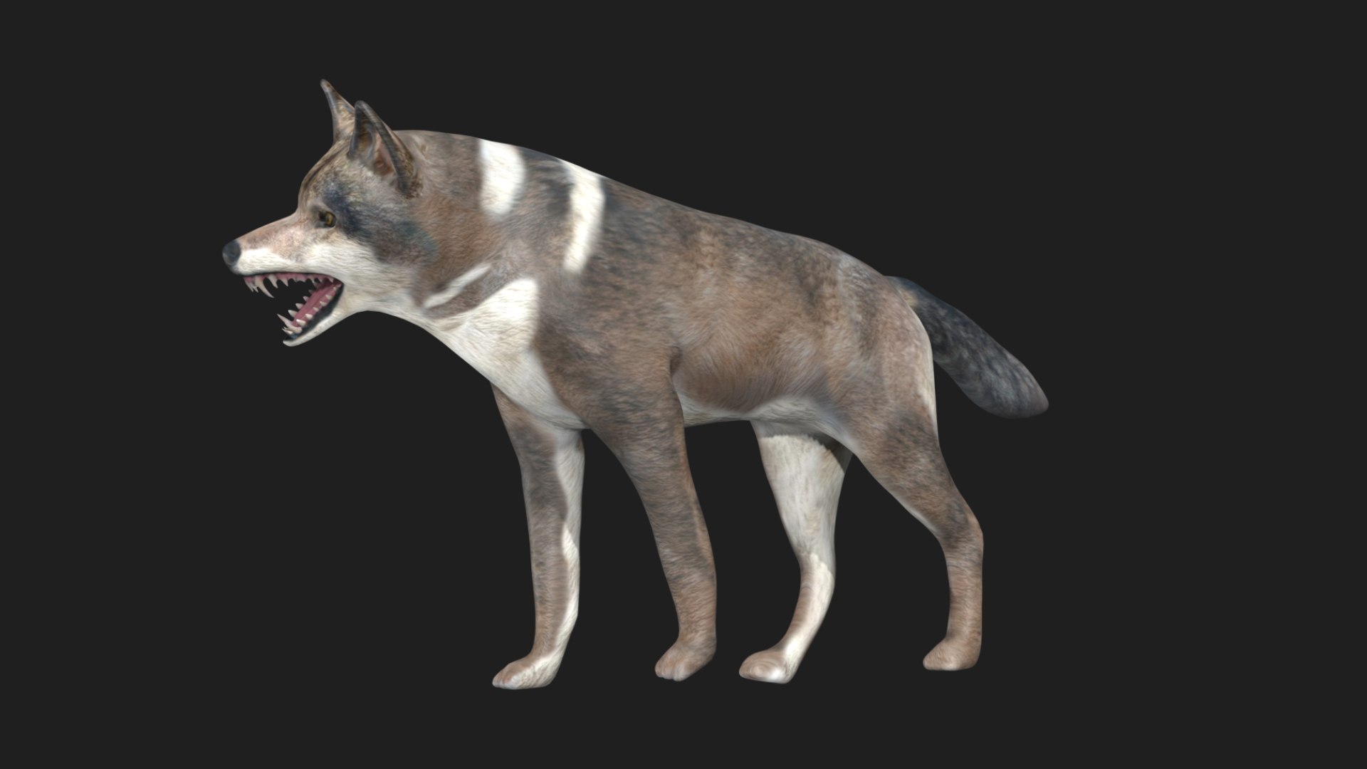 3D Wolf - TurboSquid 1773532