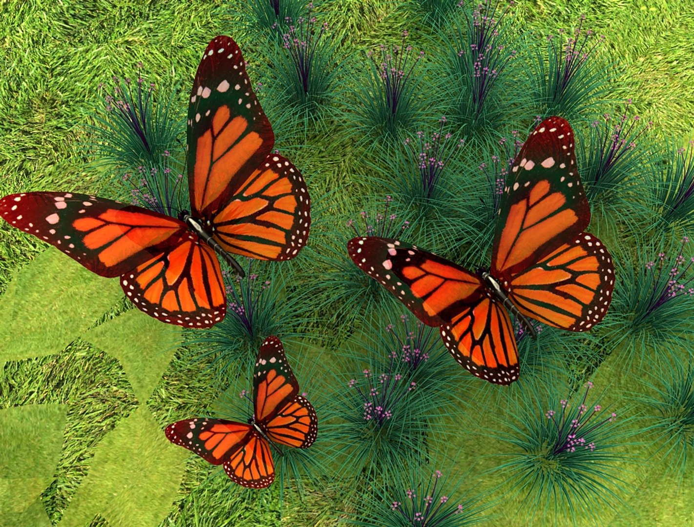 3d butterfly fly model