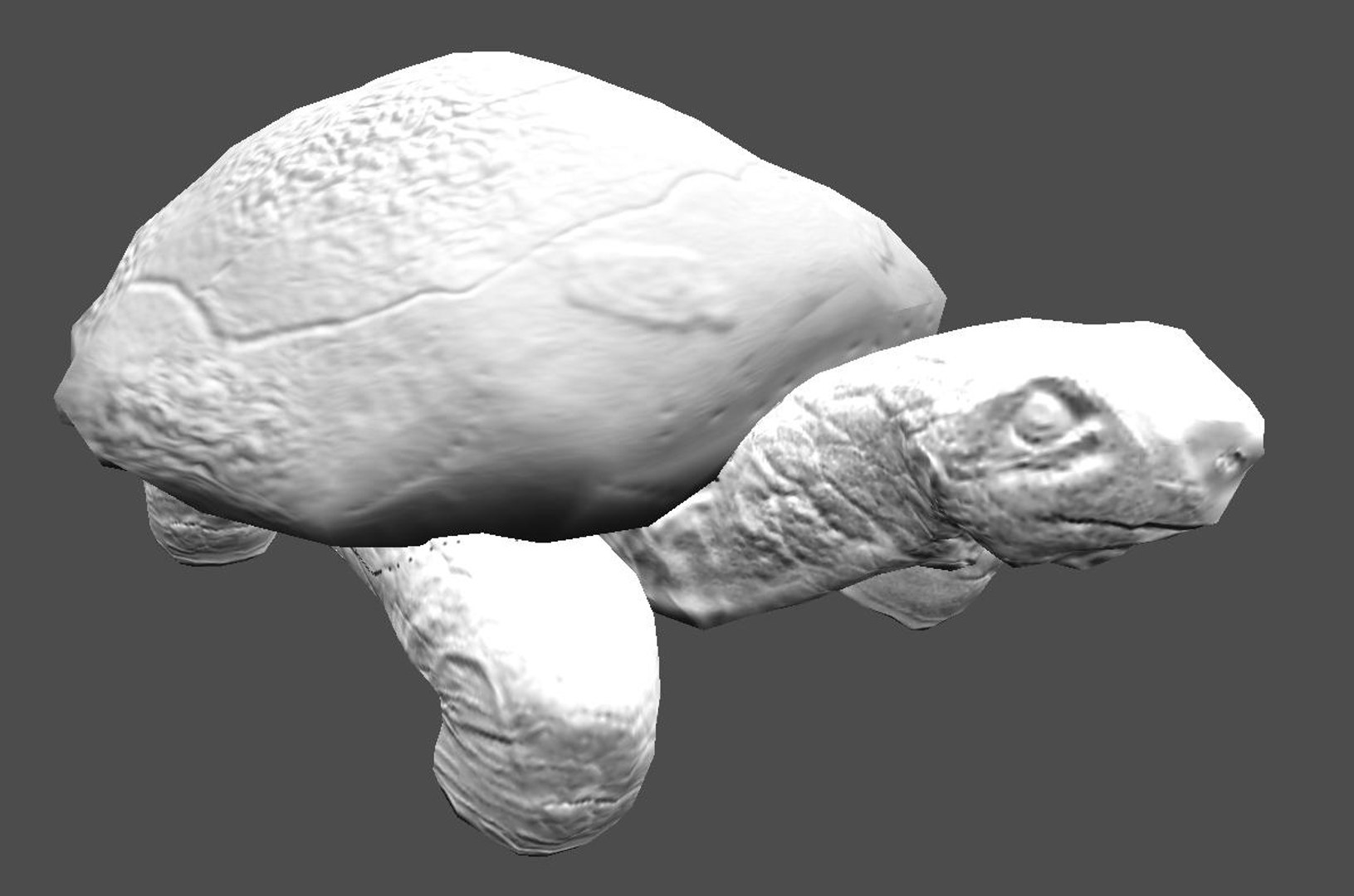 Turtle Rigged 3d Model