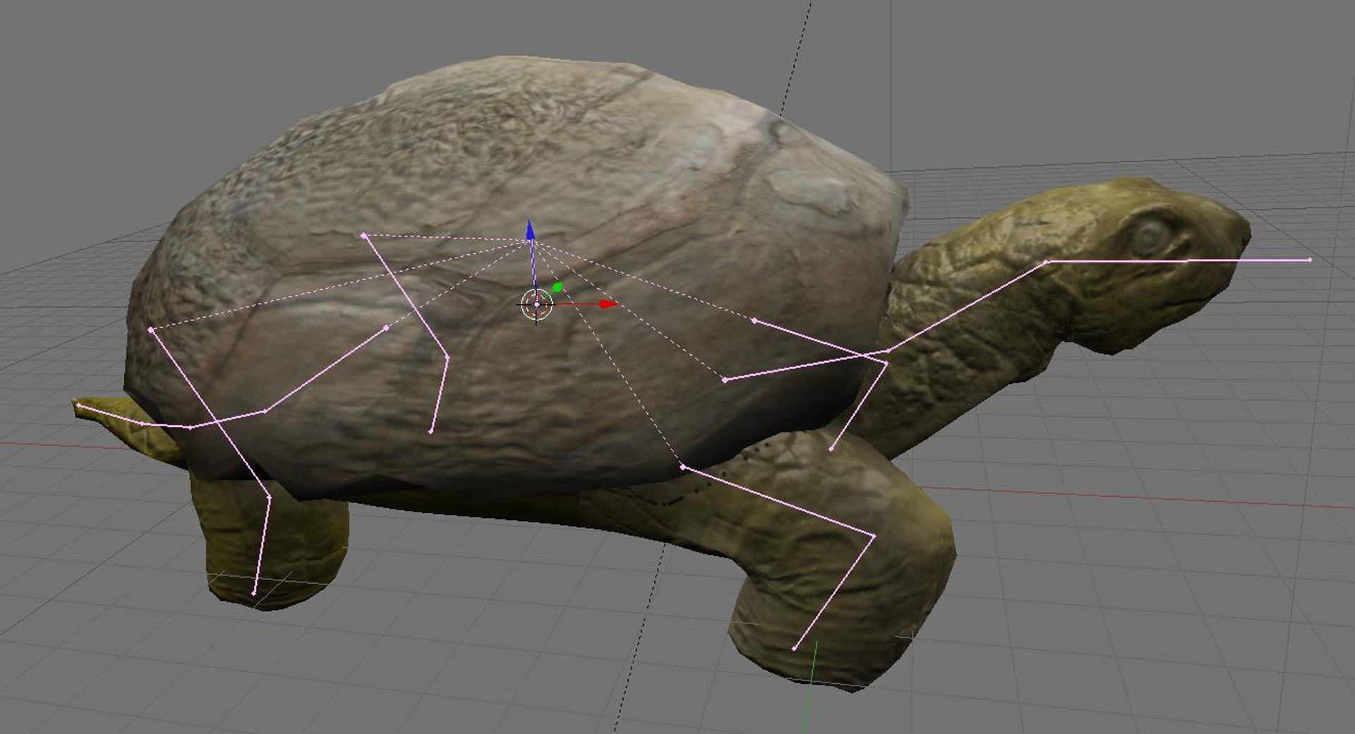 Turtle Rigged 3d Model