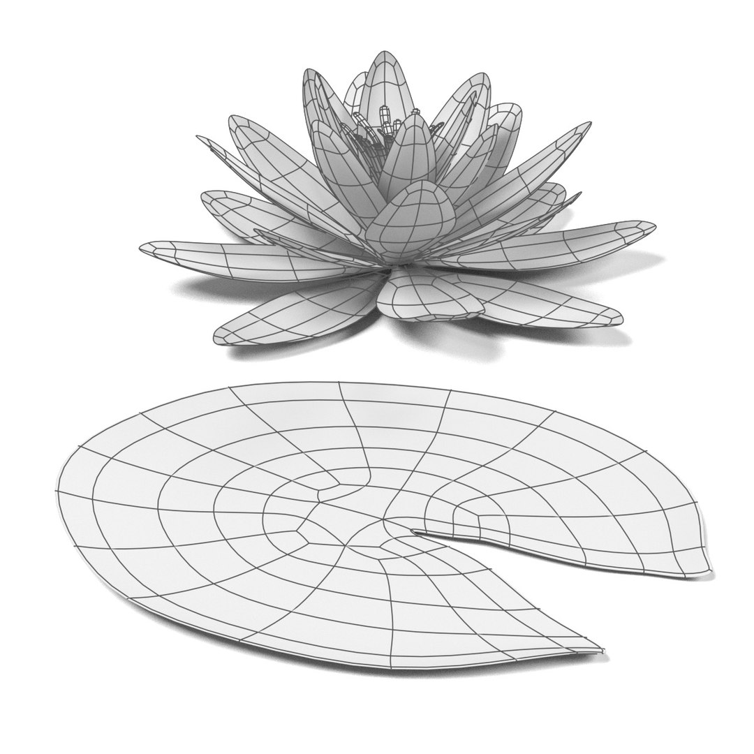 water lily 3d 3ds