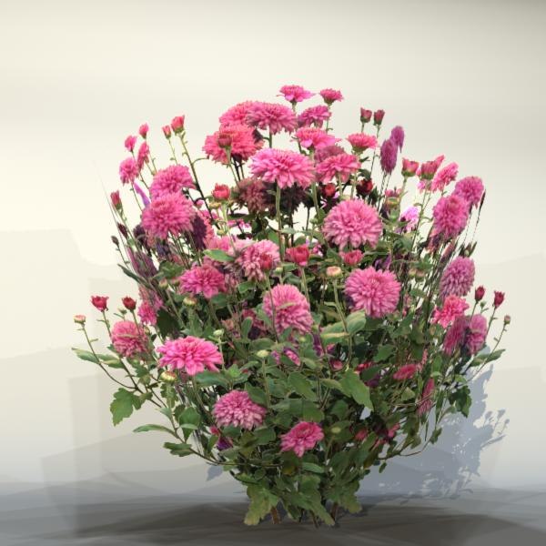 pc flower 3d max