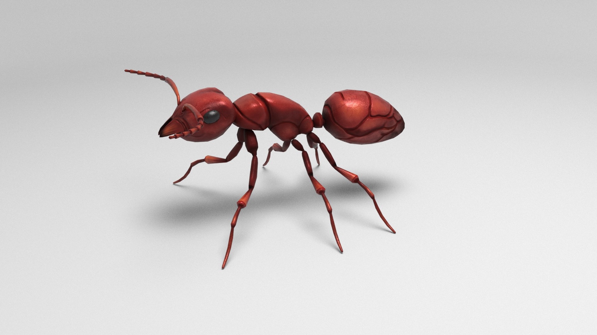 Ant 3D Model - TurboSquid 1990678