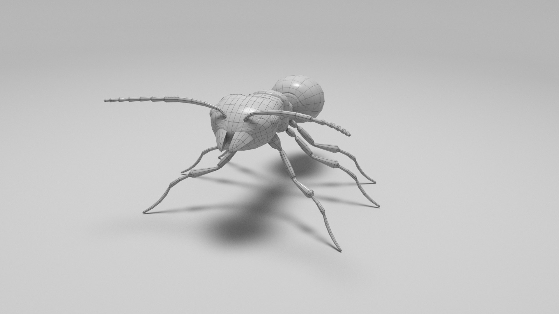 Ant 3D Model - TurboSquid 1990678