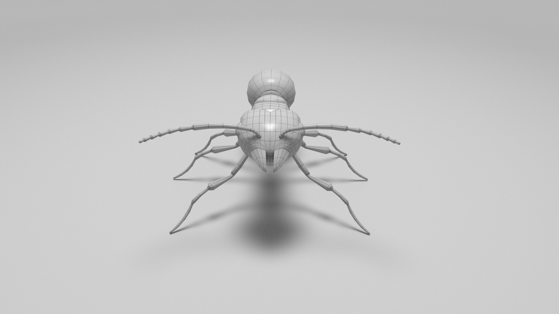 Ant 3D Model - TurboSquid 1990678
