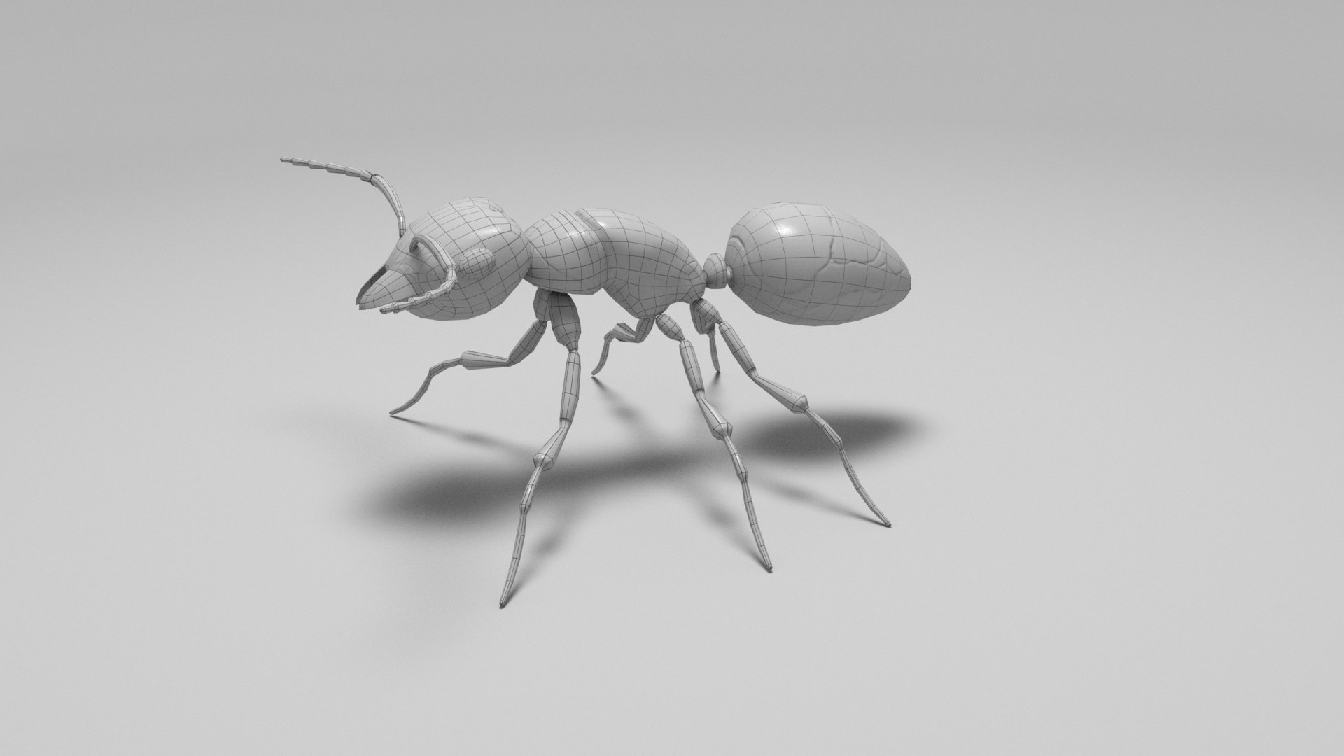 Ant 3D Model - TurboSquid 1990678