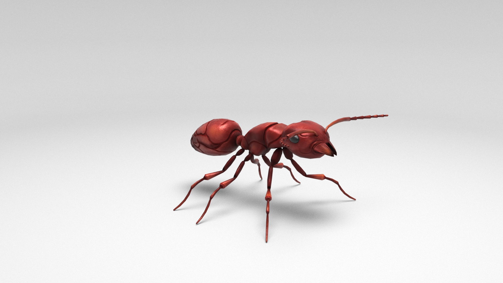 Ant 3D Model - TurboSquid 1990678