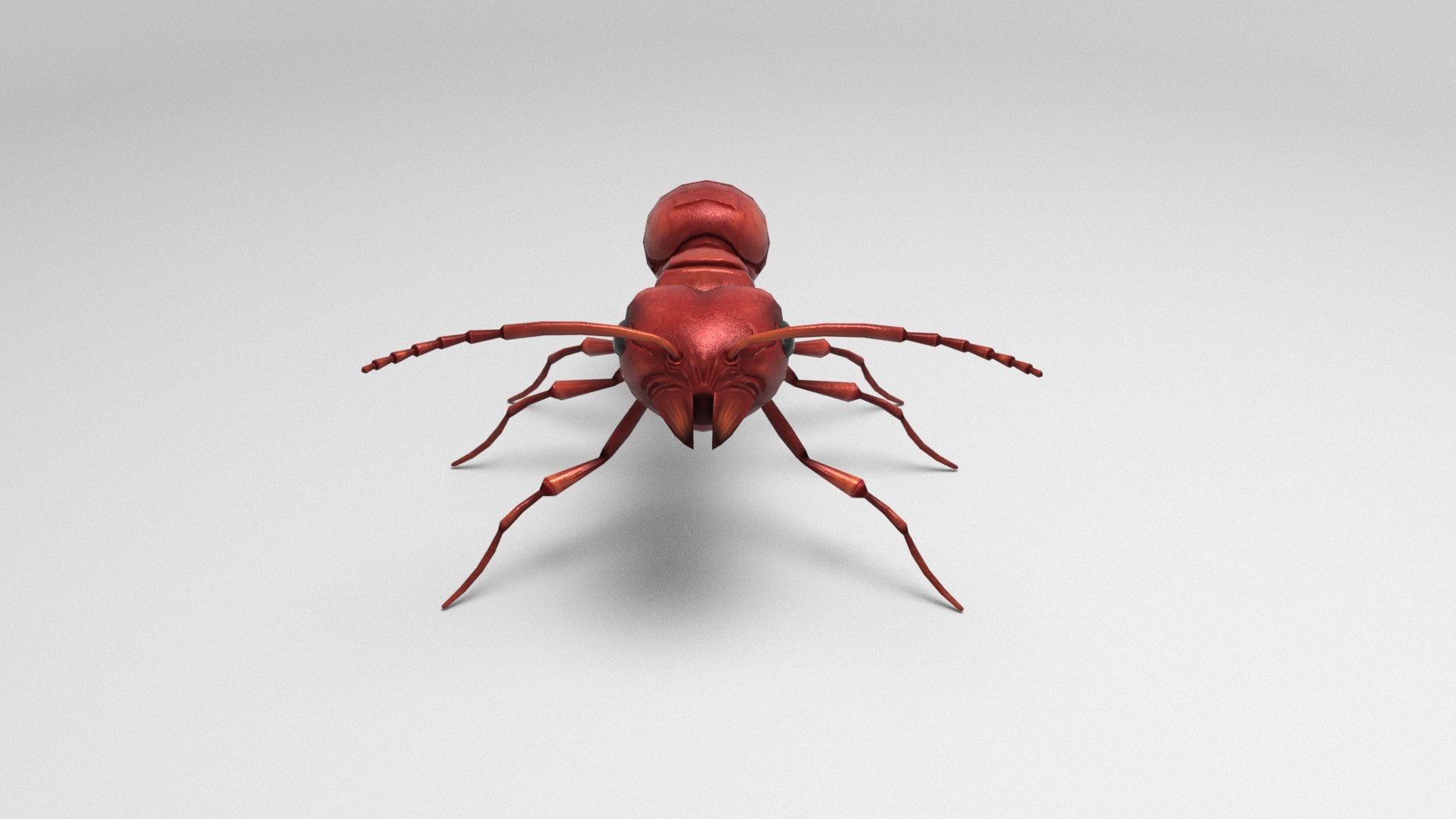 Ant 3D Model - TurboSquid 1990678