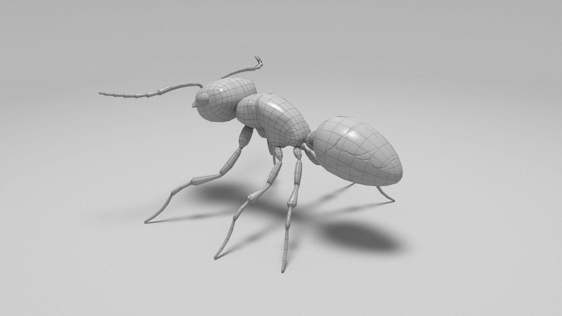Ant 3D Model - TurboSquid 1990678