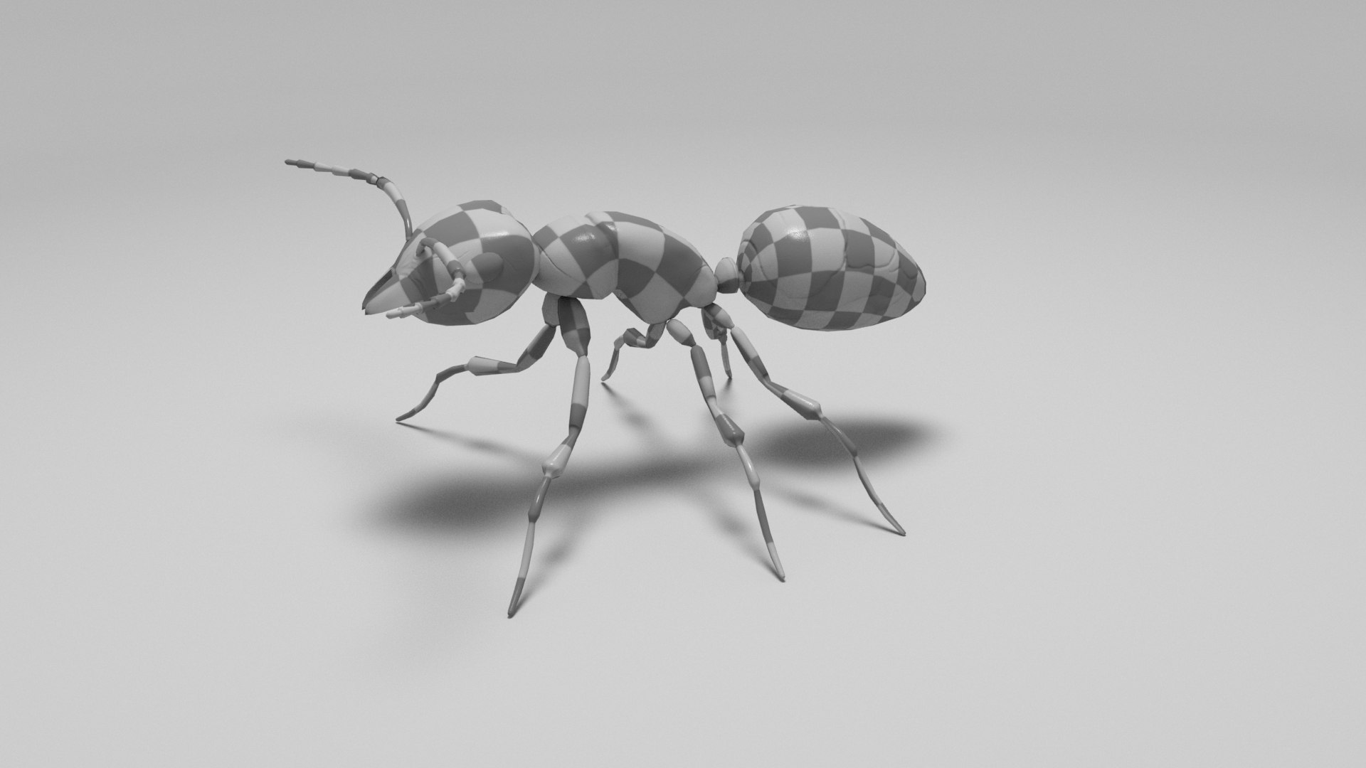 Ant 3D Model - TurboSquid 1990678