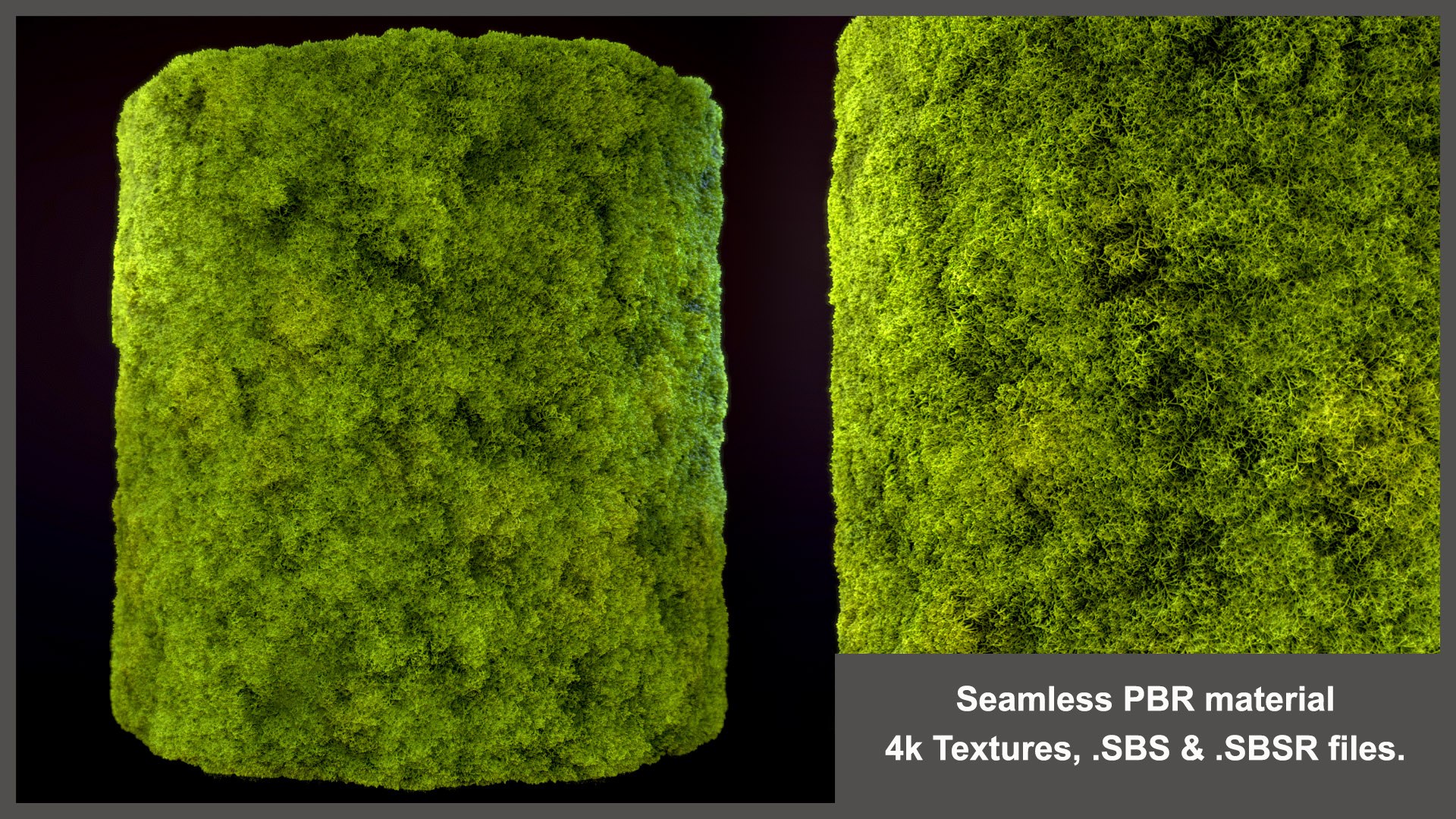 Seamless PBR Moss Substance Material Textures 3D Model - TurboSquid 2356275